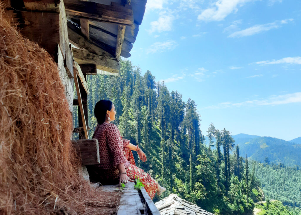 The Himalayan Architect - The Himalayan Architect